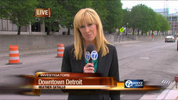 Heather Catallo - WXYZ 7 Detroit - TvNewsCaps